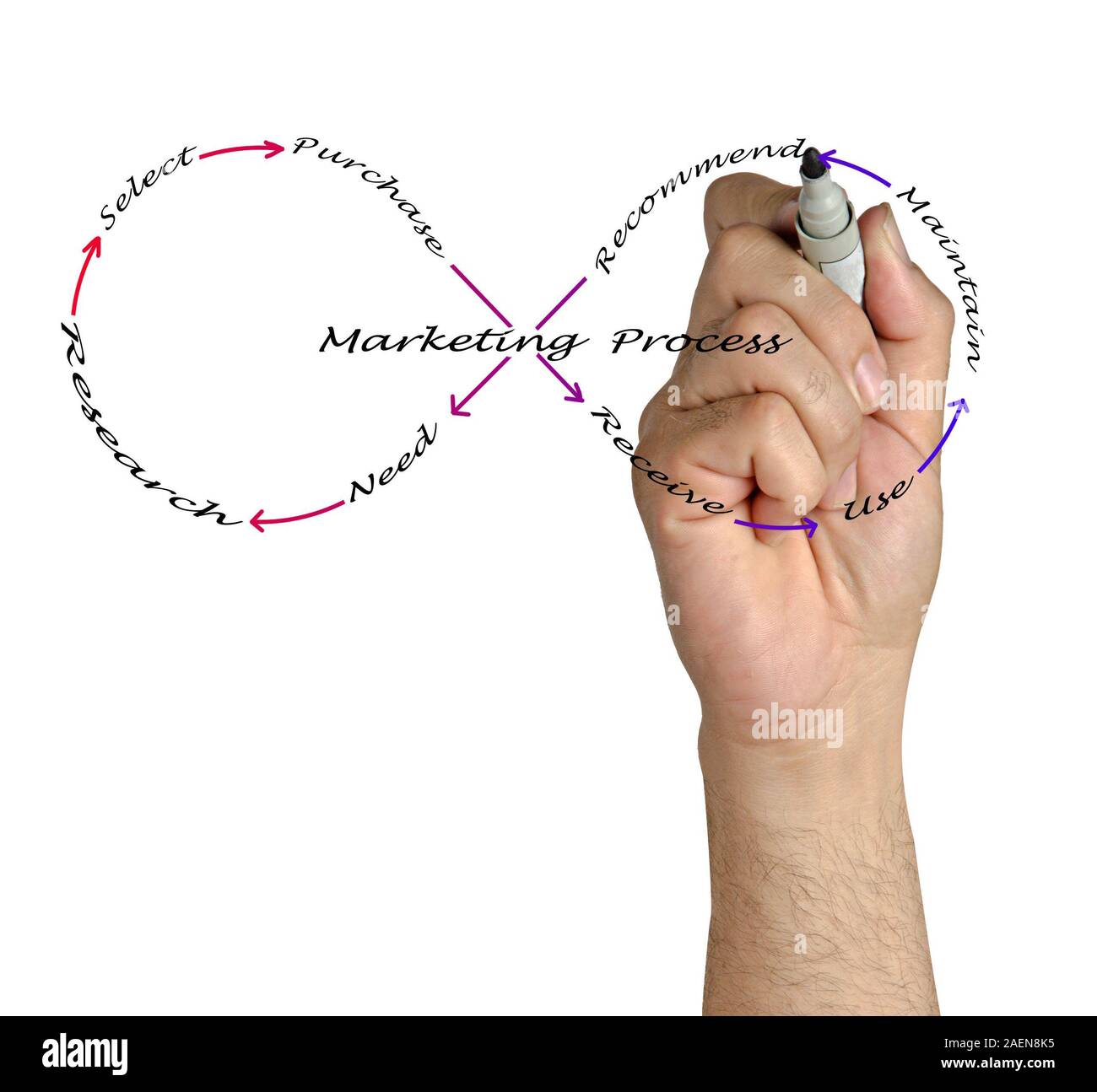 Marketing research process Cut Out Stock Images & Pictures - Alamy