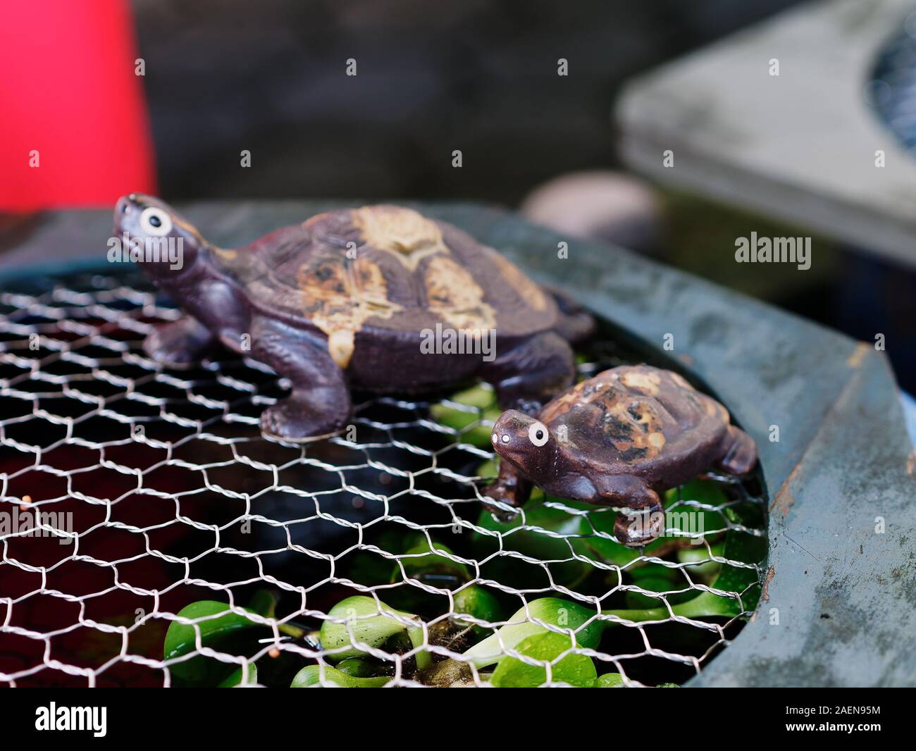 Close-up of cute ceramic garden decor turtles on hexagonal mesh grids ...