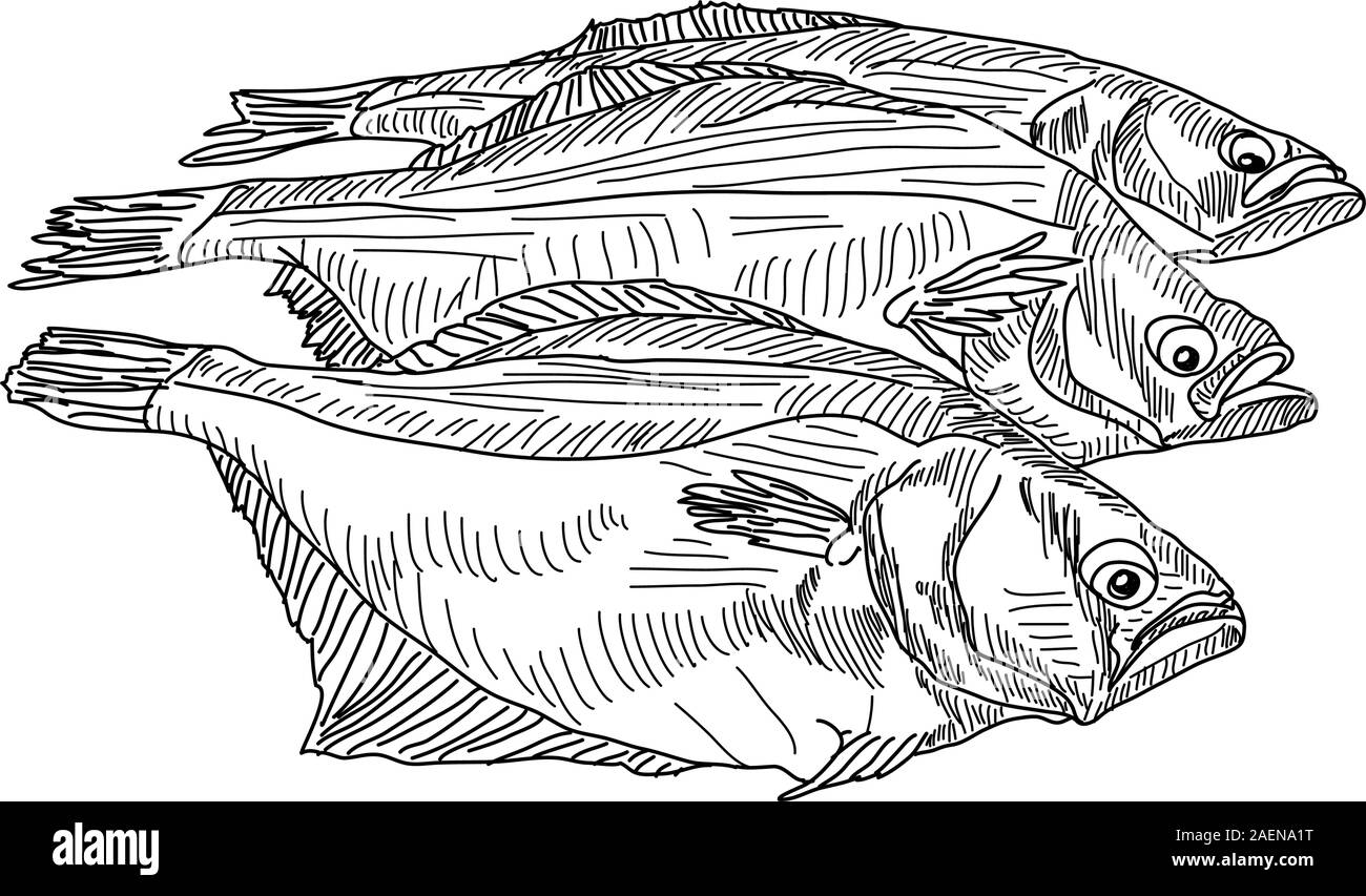 vector drawing hand fish Stock Vector Image & Art - Alamy