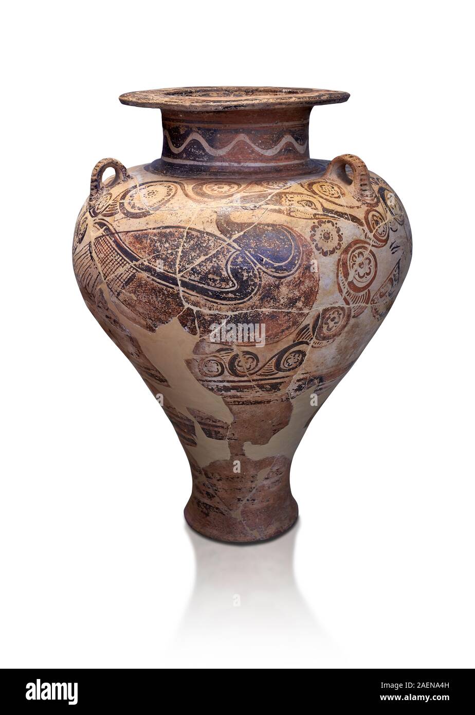 Aquatic life inside Cut Out Stock Images & Pictures - Alamy