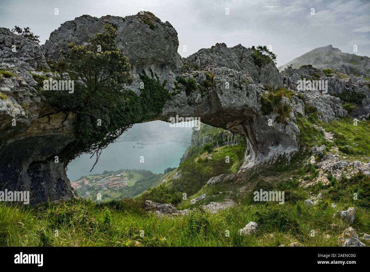 Devil eyes hi-res stock photography and images - Alamy