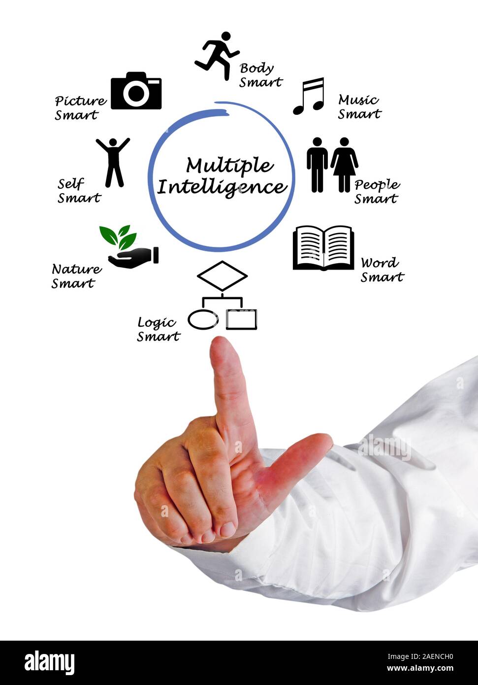 Multiple intelligence hi-res stock photography and images - Alamy