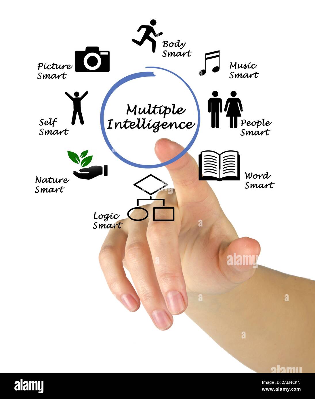 Components of Multiple Intelligence Stock Photo - Alamy