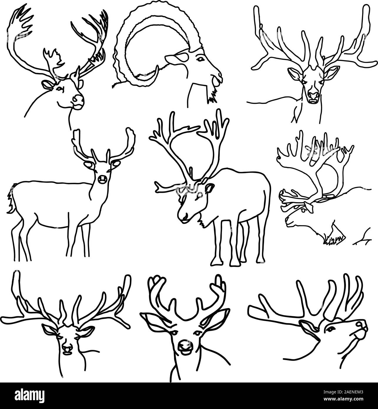 Elk outline Black and White Stock Photos & Images - Alamy