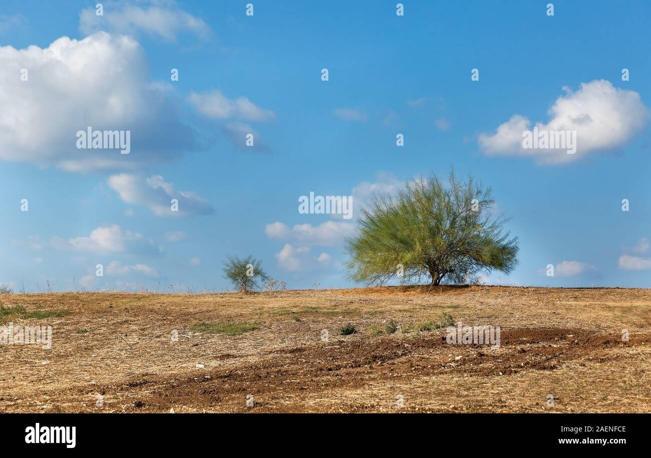 One green hill hi-res stock photography and images - Alamy