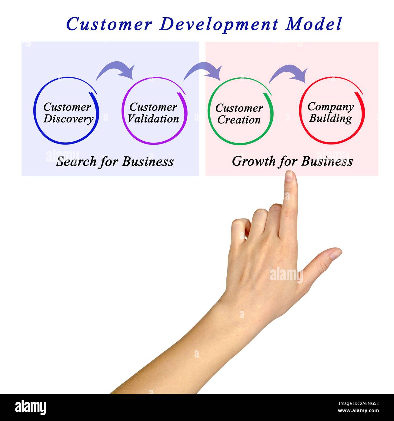 Diagram of Customer Development Model Stock Photo - Alamy