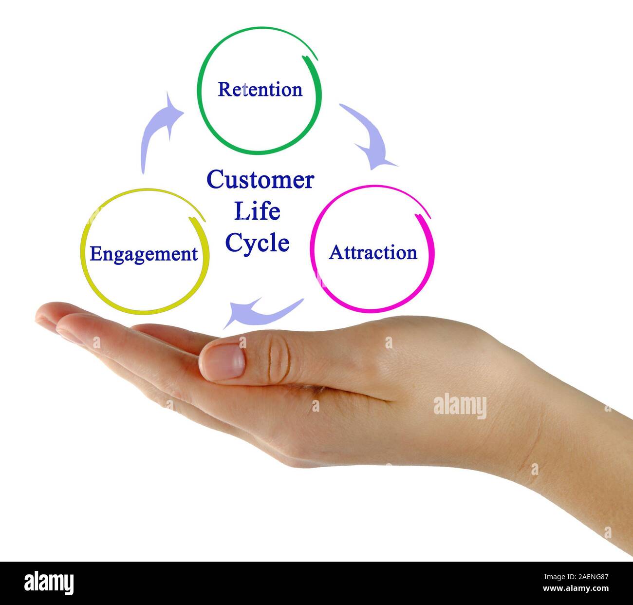 Diagram of Customer Life Cycle Stock Photo - Alamy