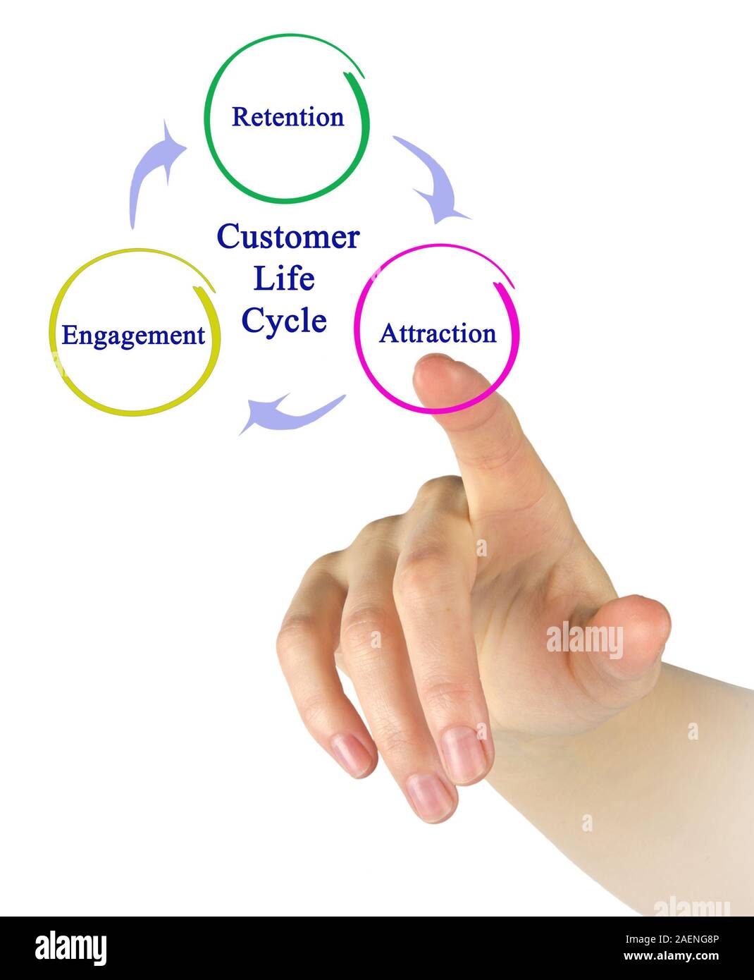 Diagram of Customer Life Cycle Stock Photo - Alamy