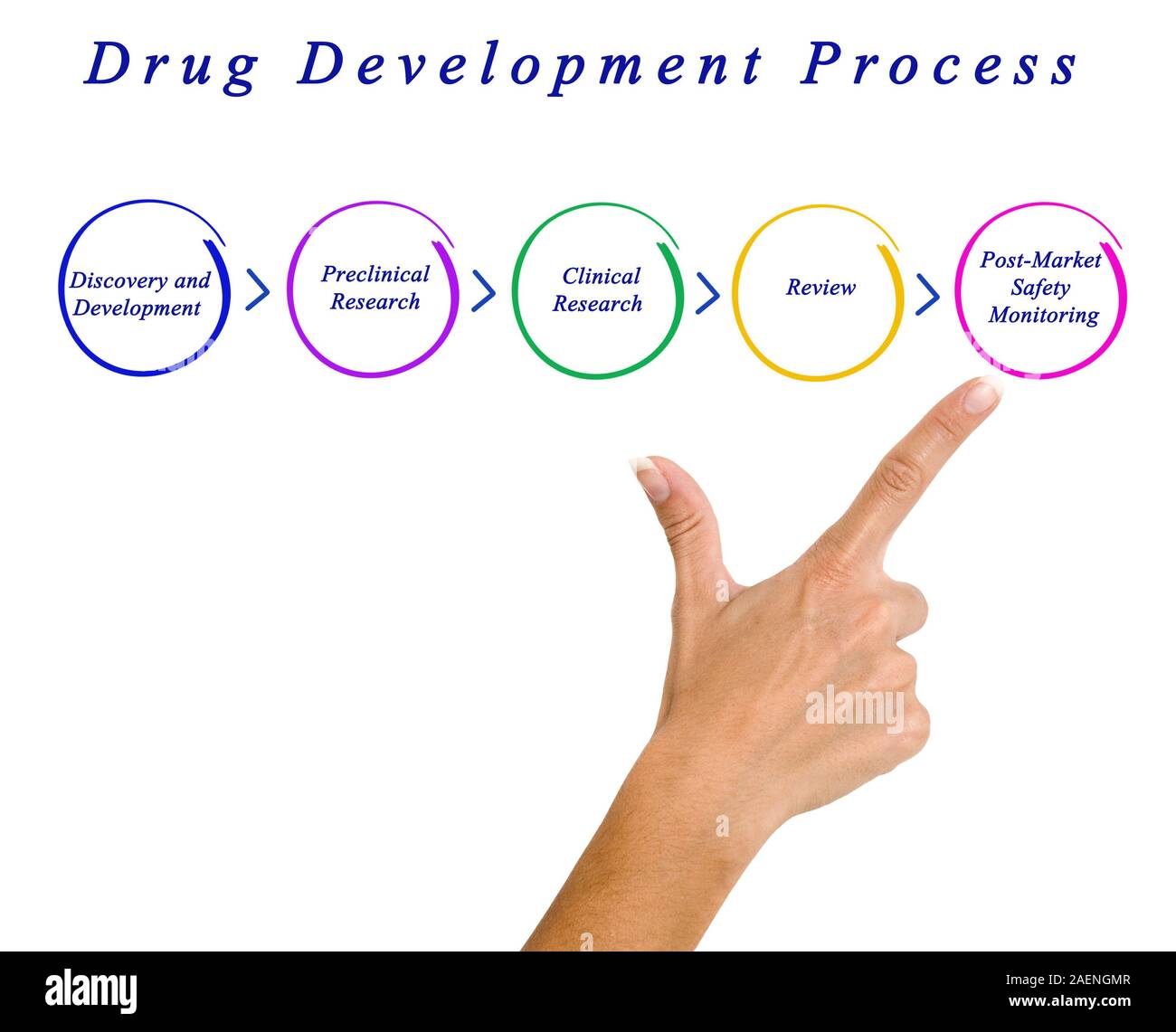 Diagram of Drug Development Process Stock Photo - Alamy