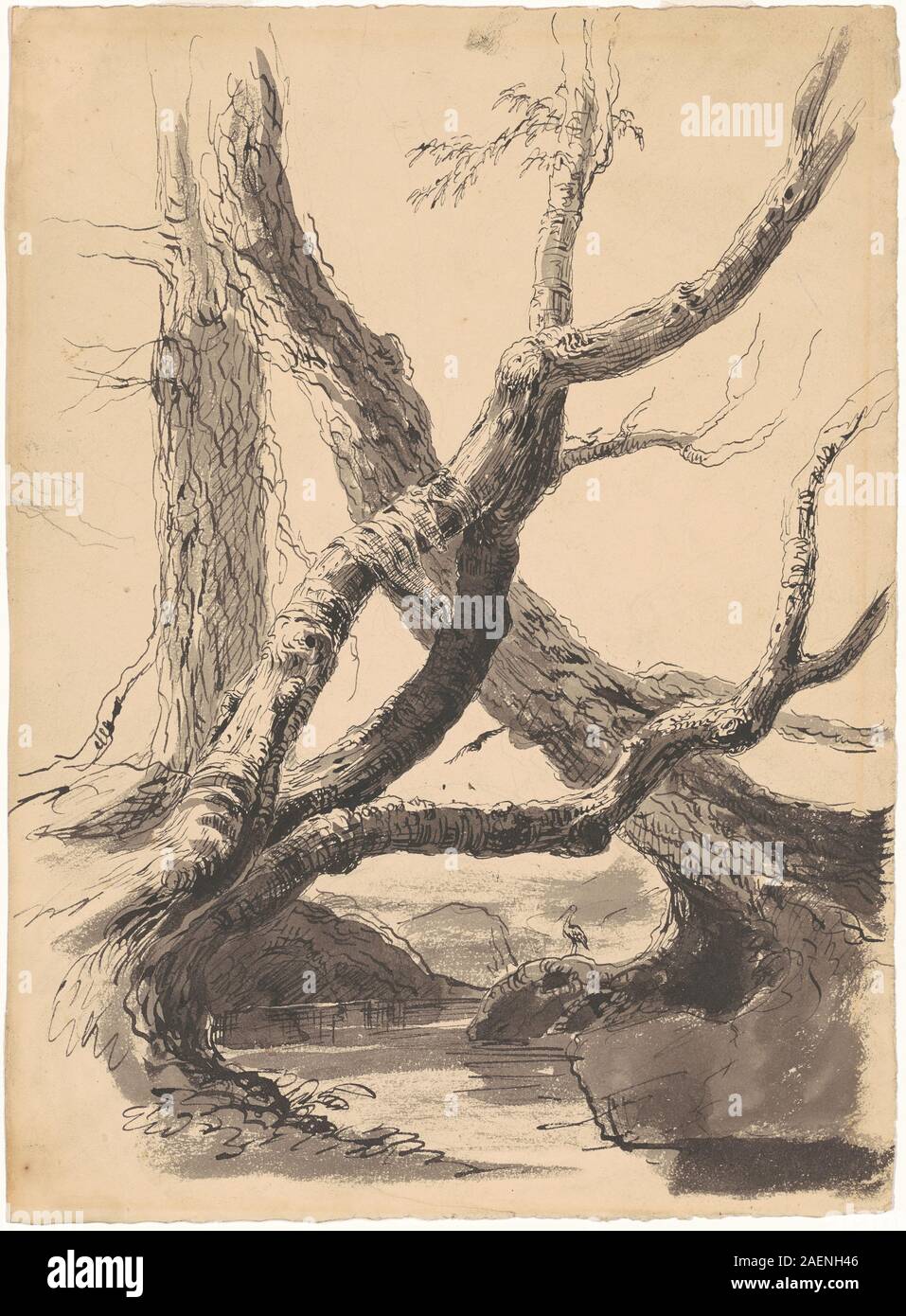 Thomas Cole, Tree Trunks, 1825-1840, Tree Trunks; 1825-1840 Stock Photo ...