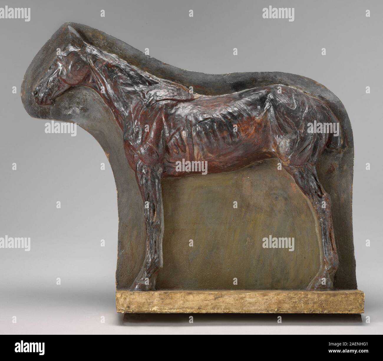 Ecorché hi-res stock photography and images - Alamy