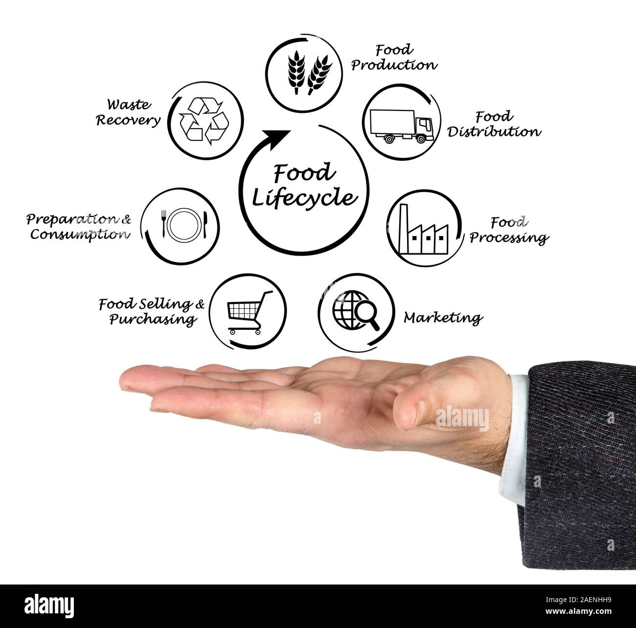 Life Cycle Diagram High Resolution Stock Photography and Images - Alamy