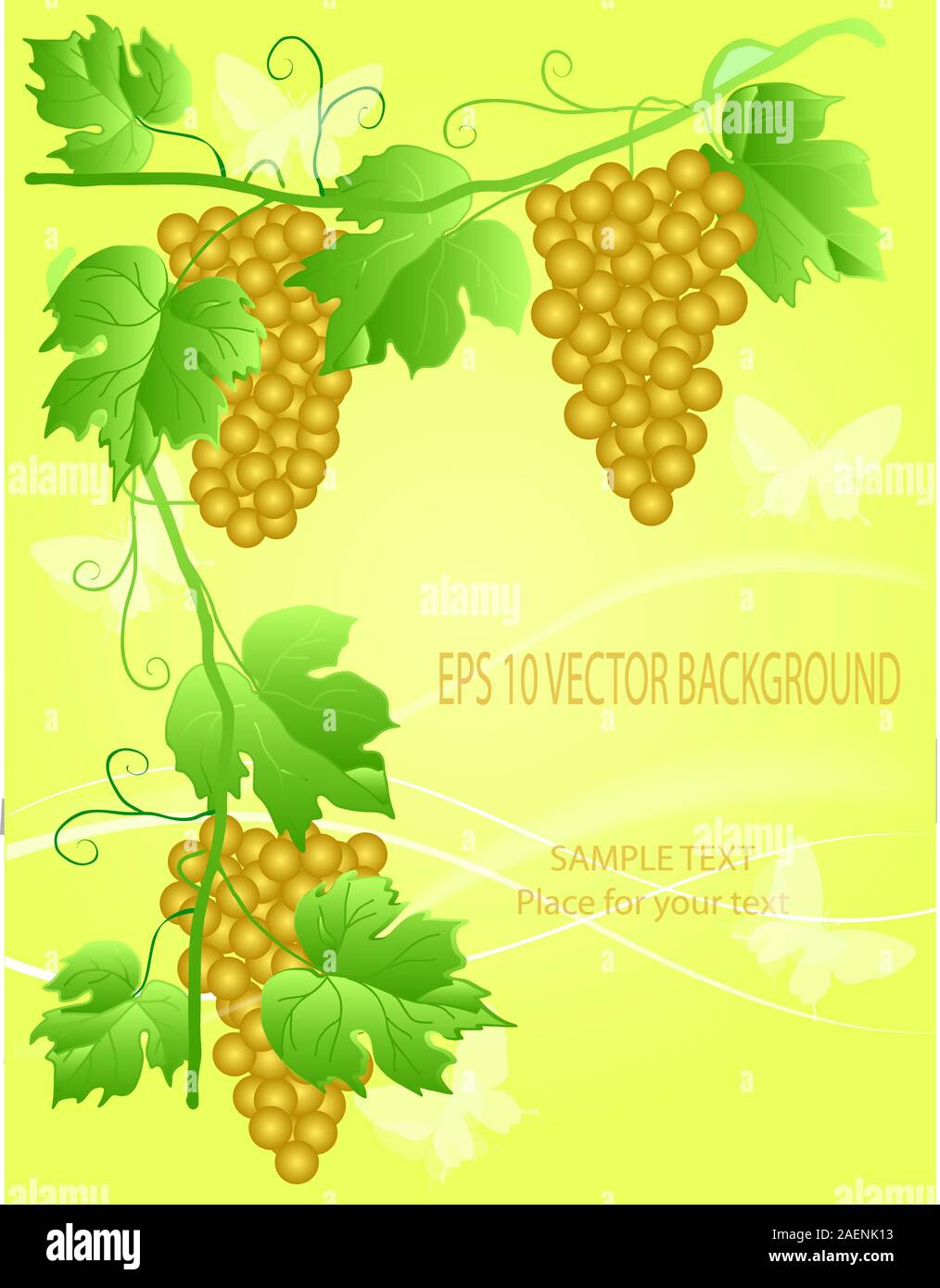 EPS 10 vine with space for text Stock Vector Image & Art - Alamy