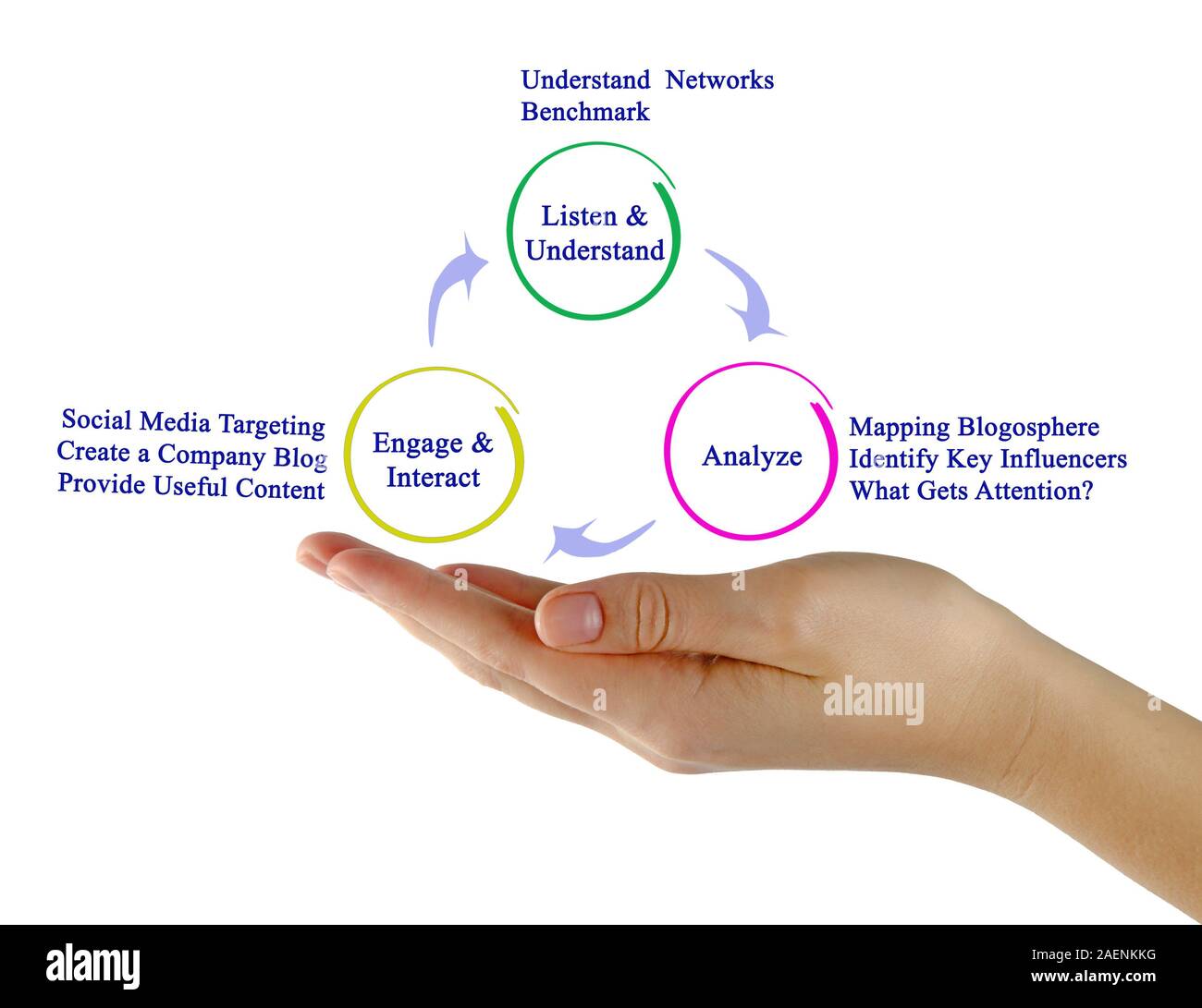 Diagram of network analysis Stock Photo - Alamy