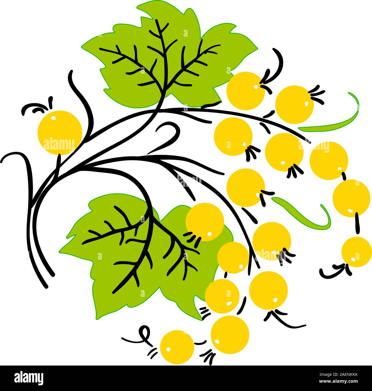 Mature bunch Stock Vector Images - Alamy