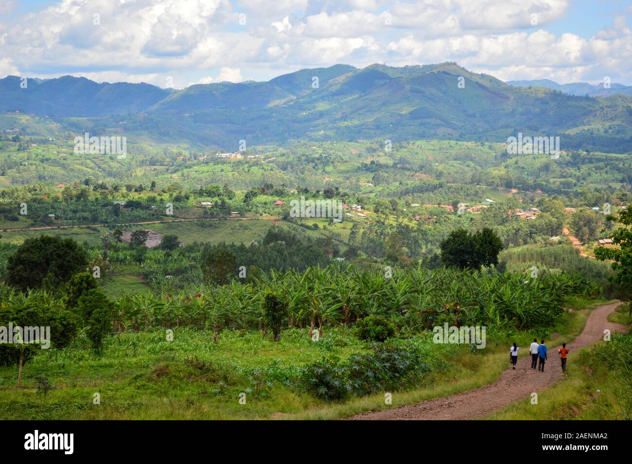 Kanungu district hi-res stock photography and images - Alamy