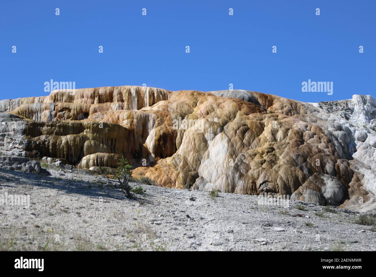 Yellowstone, The splendid limestone sculptures of Mammoth Hot Spring ...
