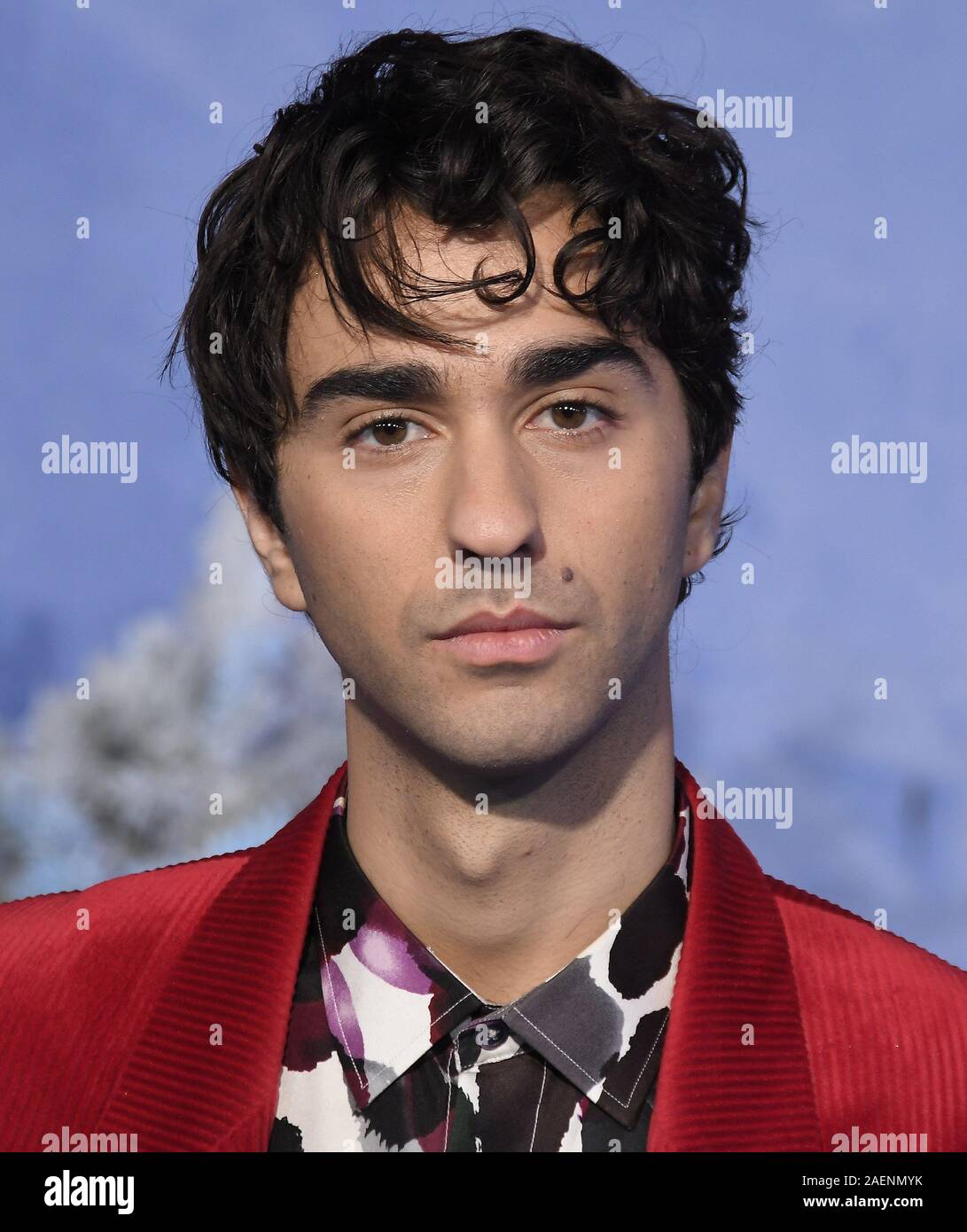 Los Angeles, USA. 09th Dec, 2019. Alex Wolff arrives at the JUMANJI THE ...