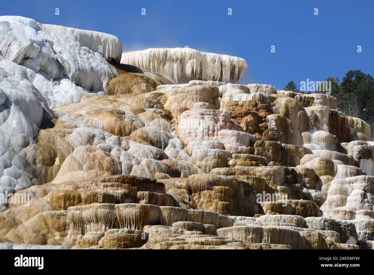 Yellowstone, The splendid limestone sculptures of Mammoth Hot Spring ...