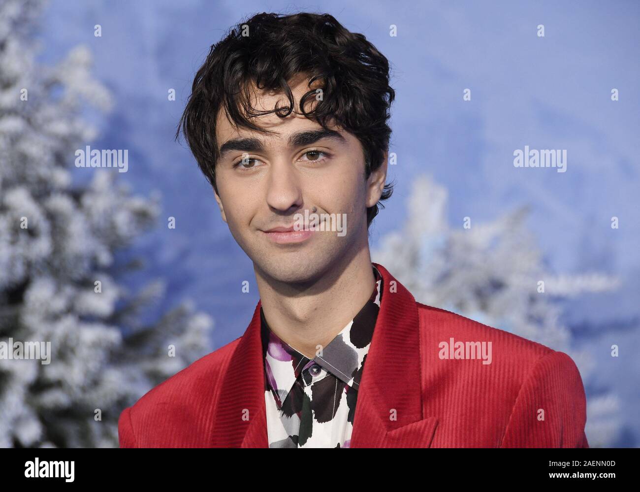 Los Angeles, USA. 09th Dec, 2019. Alex Wolff arrives at the JUMANJI THE ...
