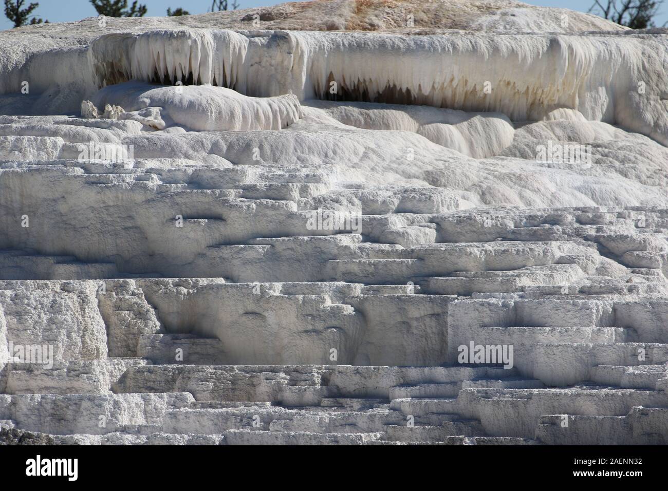 Yellowstone, The splendid limestone sculptures of Mammoth Hot Spring ...