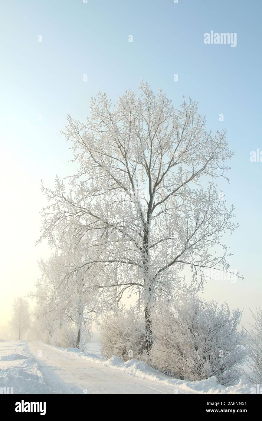 Cold edge road hi-res stock photography and images - Alamy