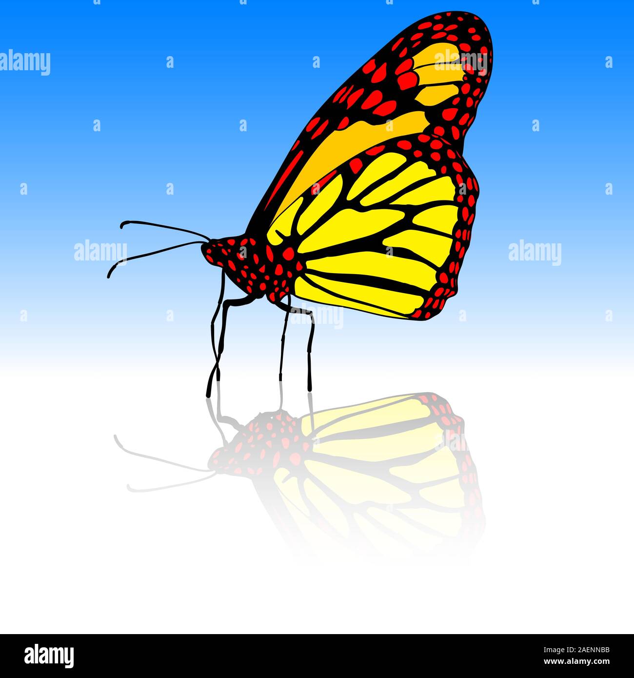 Beautiful tropical butterfly. Vector illustration Stock Vector Image ...