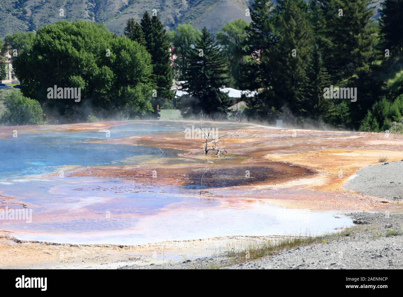 Yellowstone, Beautiful colors of a pool of hot water Stock Photo - Alamy
