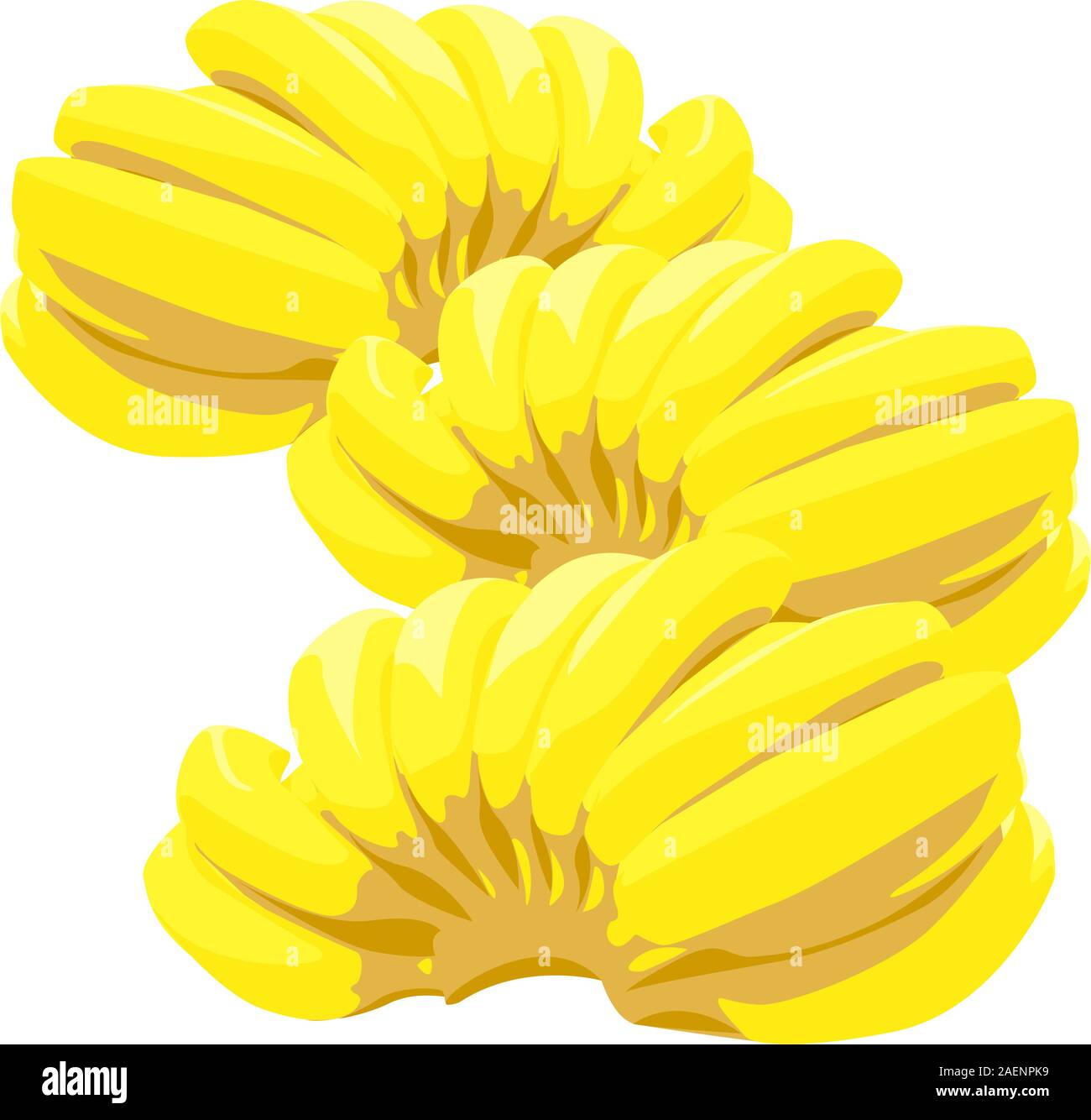 Three bunch of bananas isolated on white background Stock Vector Image ...