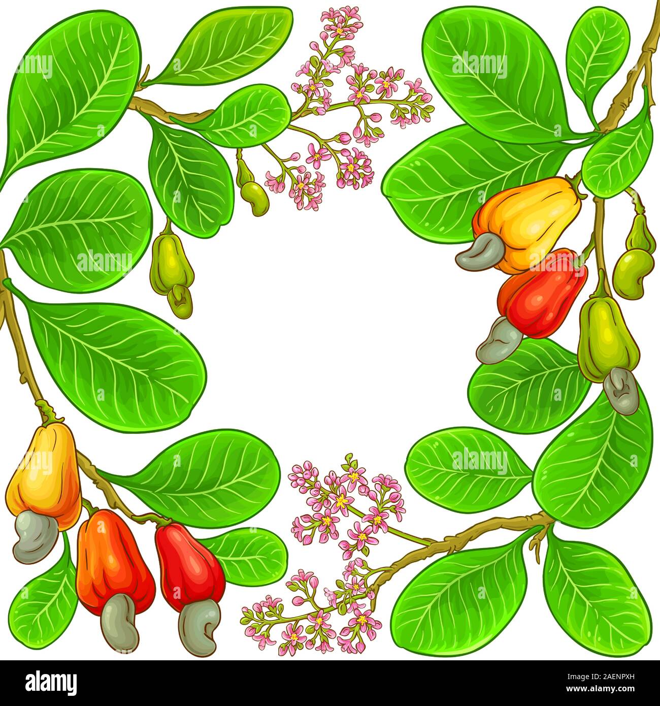 Frame set healthy food Stock Vector Images - Alamy