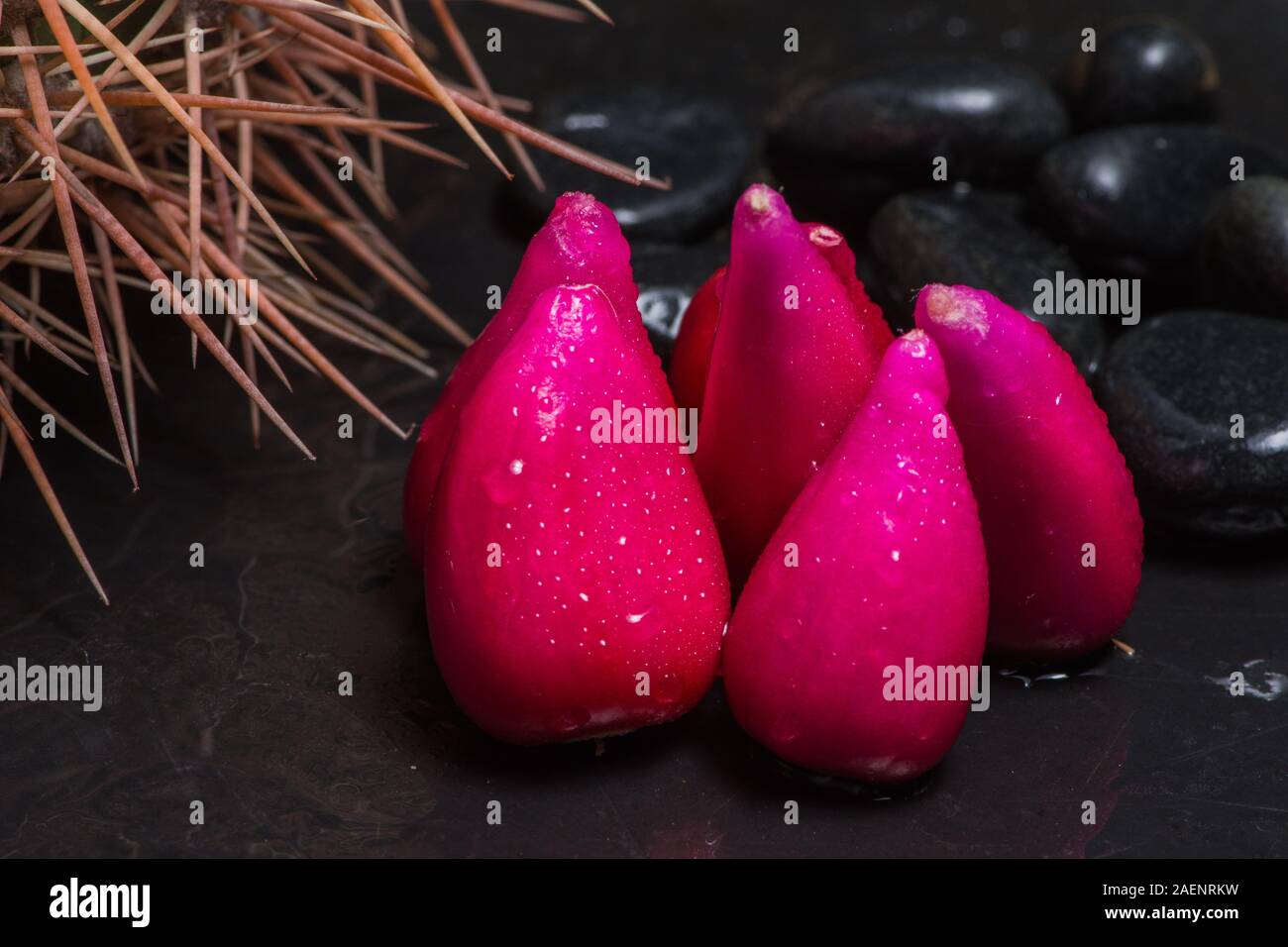 Perennial melon hi-res stock photography and images - Alamy