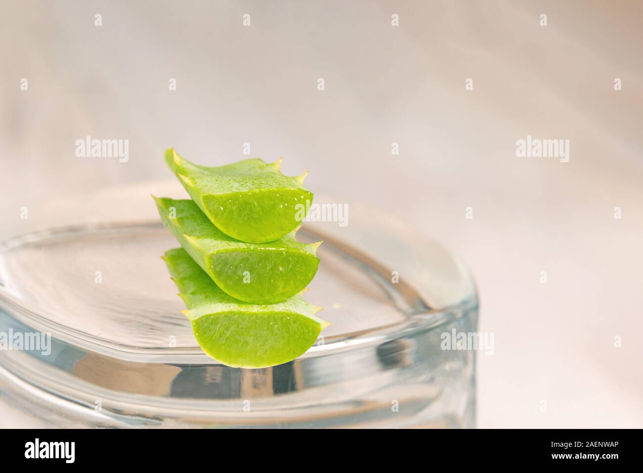 Aloe plant green slice close-up macro isolated on a blur background ...
