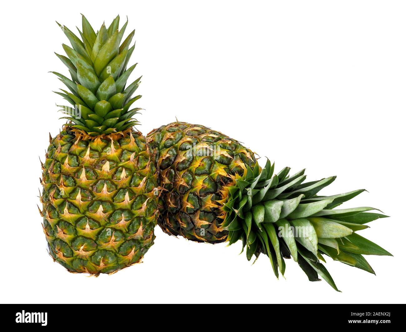Two pineapples isolated hi-res stock photography and images - Alamy