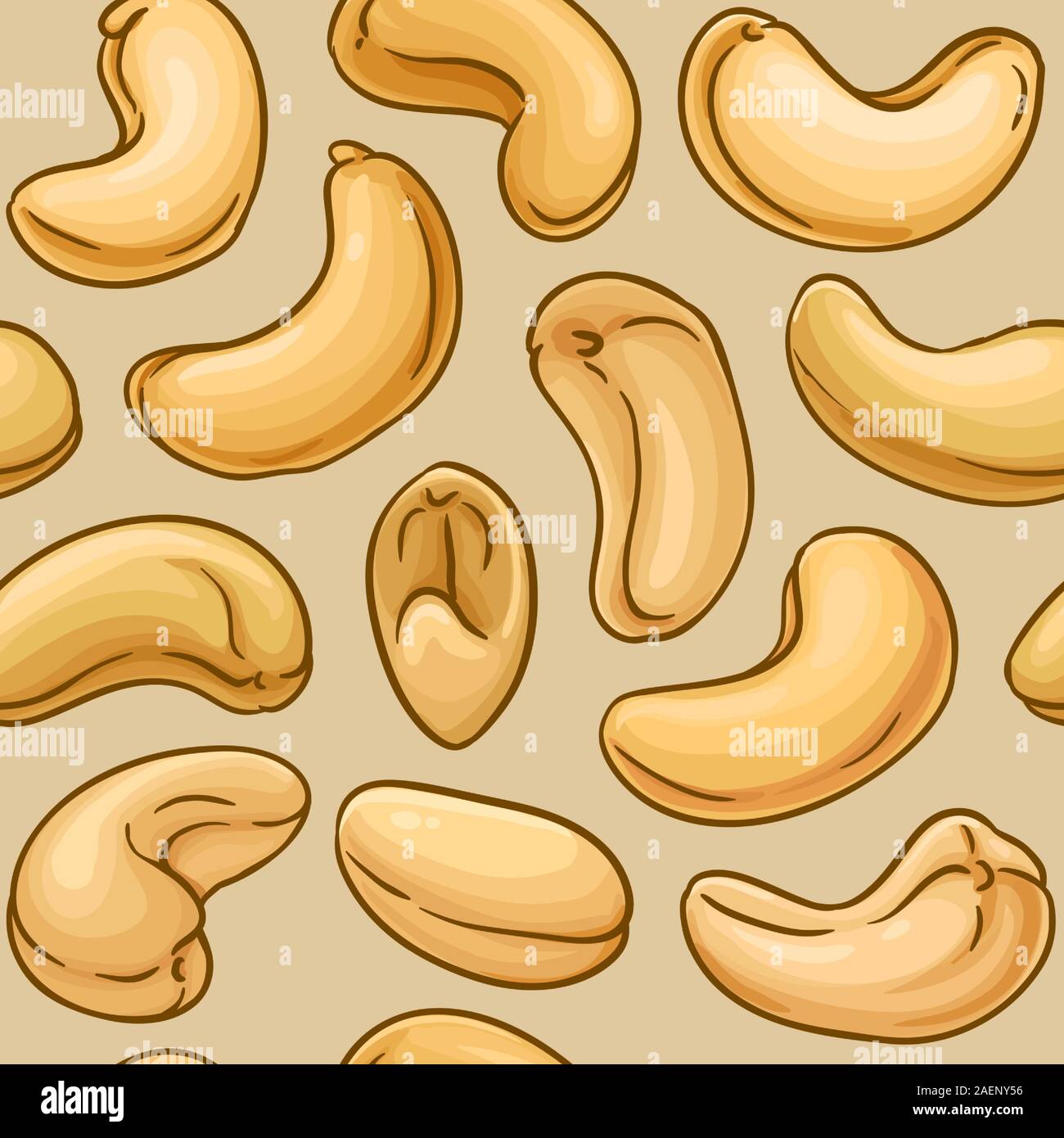 Cashew Nut Vector