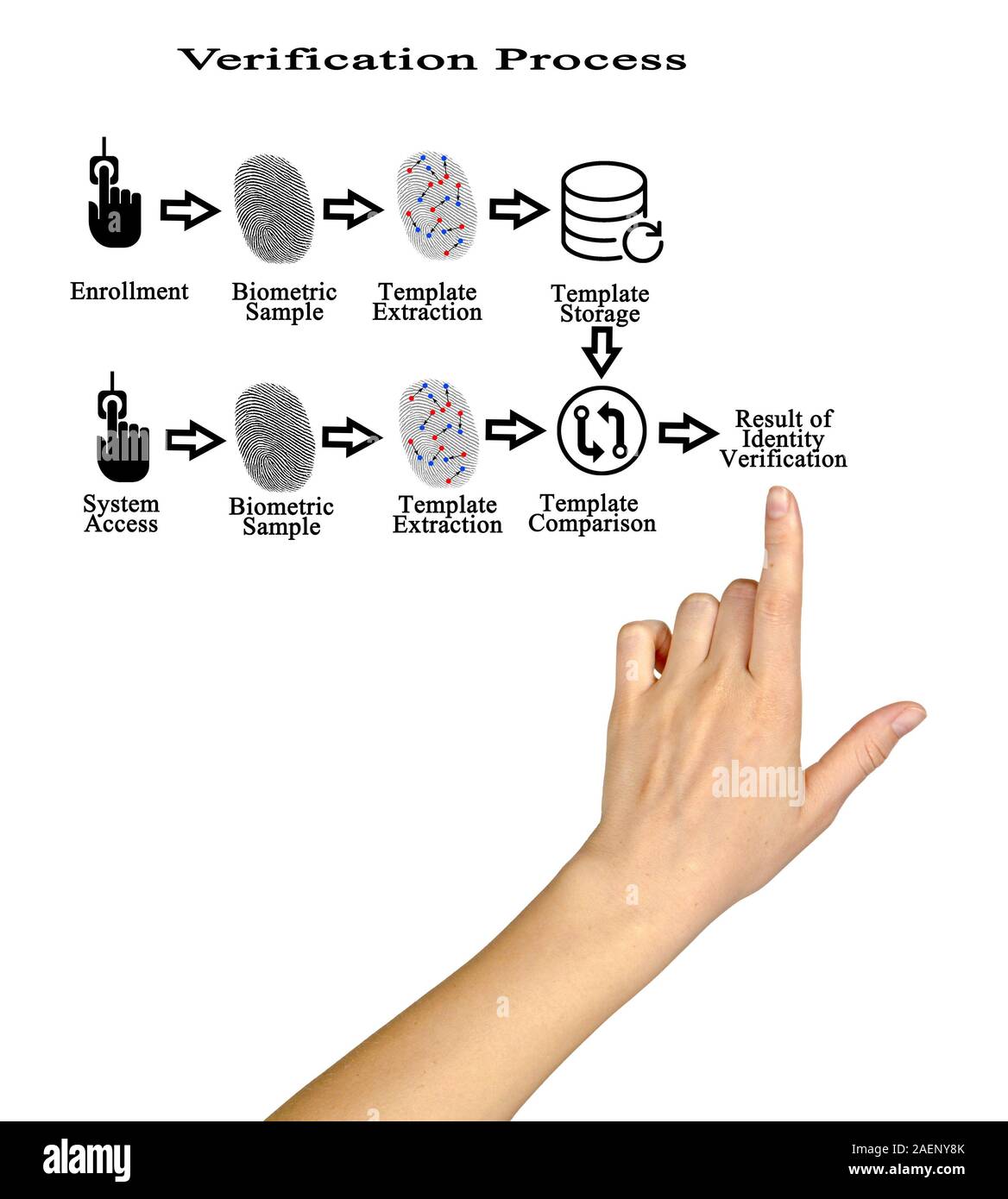 Verification process hi-res stock photography and images - Alamy