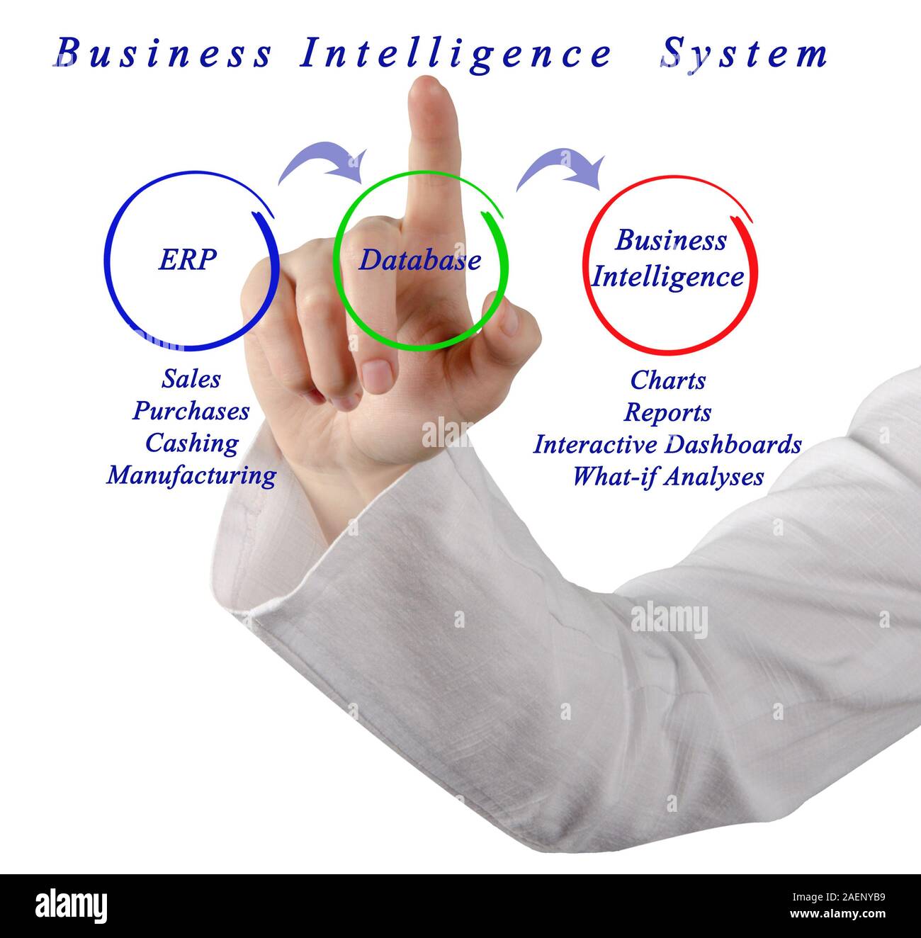 Business intelligence system hi-res stock photography and images - Alamy