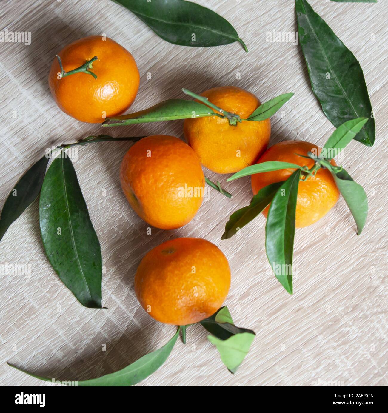 mandarin. tangerines with leaves on an external background. Green ...