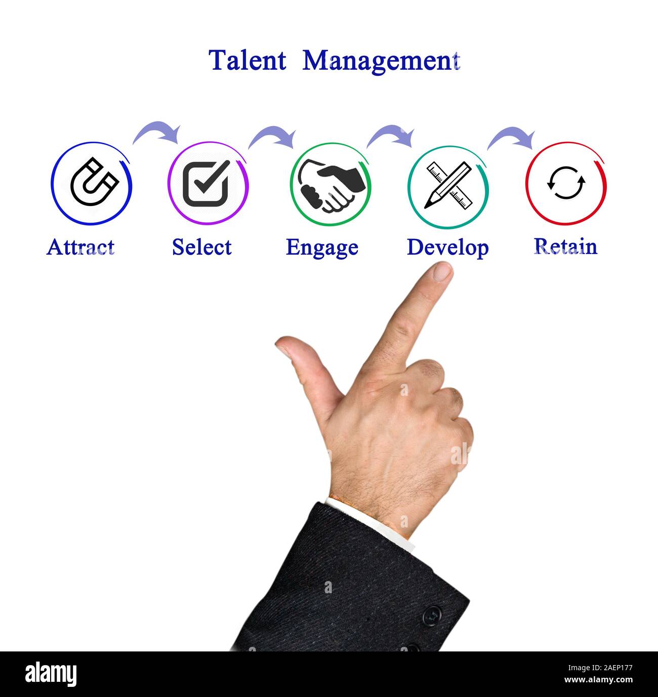 Talent Management Stock Photo - Alamy