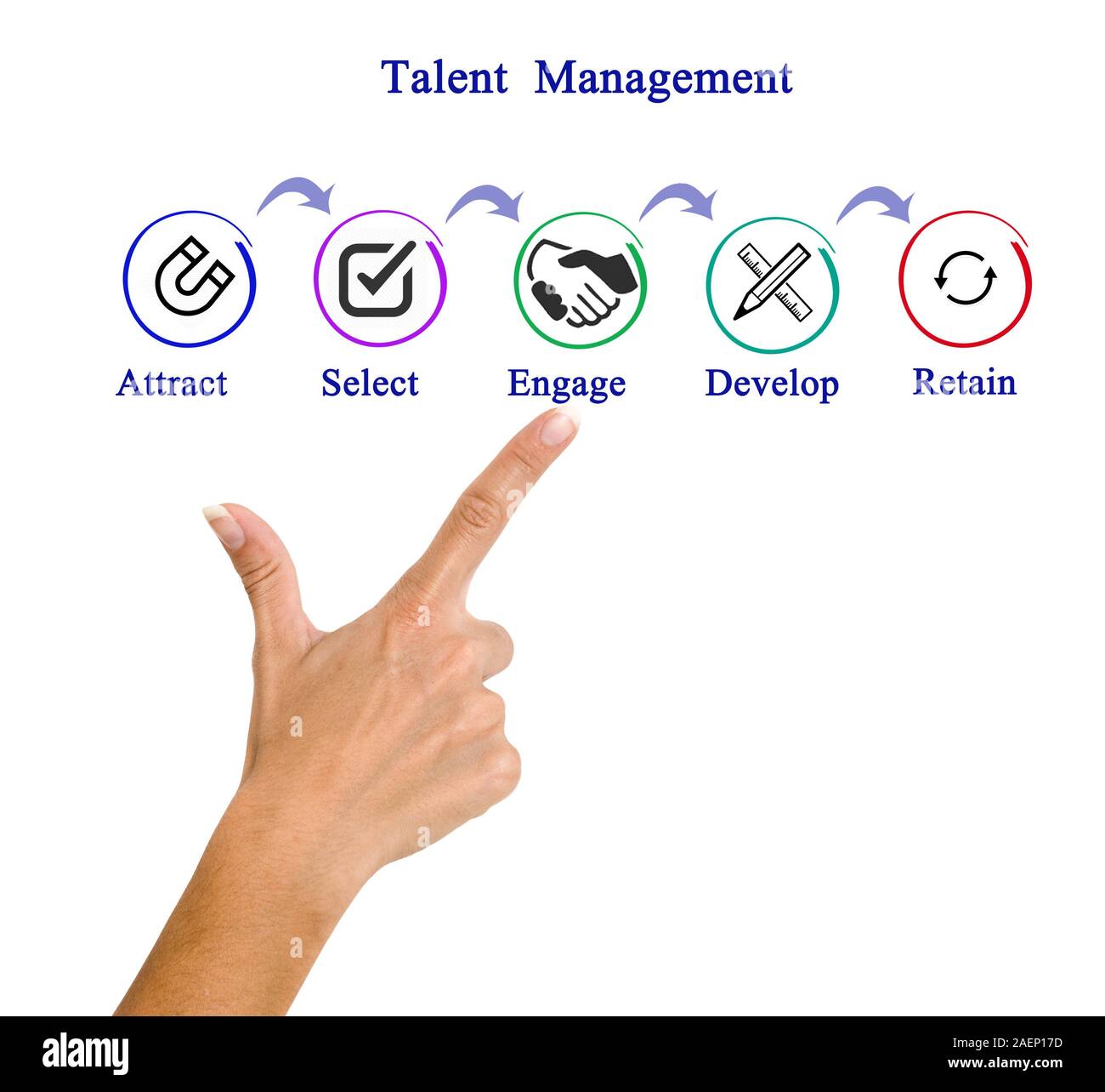 Talent Management Process Stock Photo - Alamy
