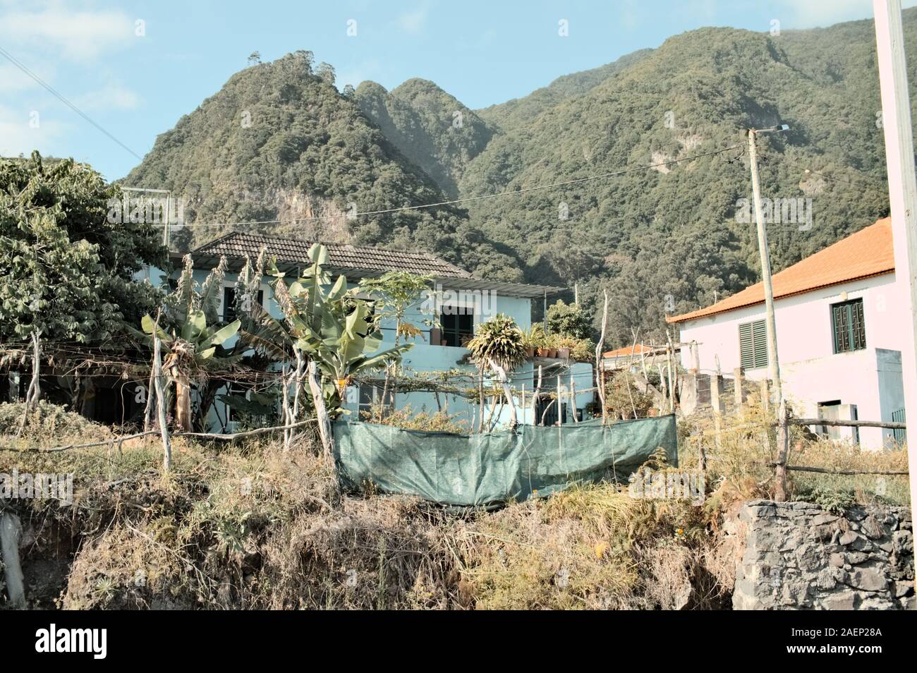 Isolated rural house in a tropical place with palms in the garden ...