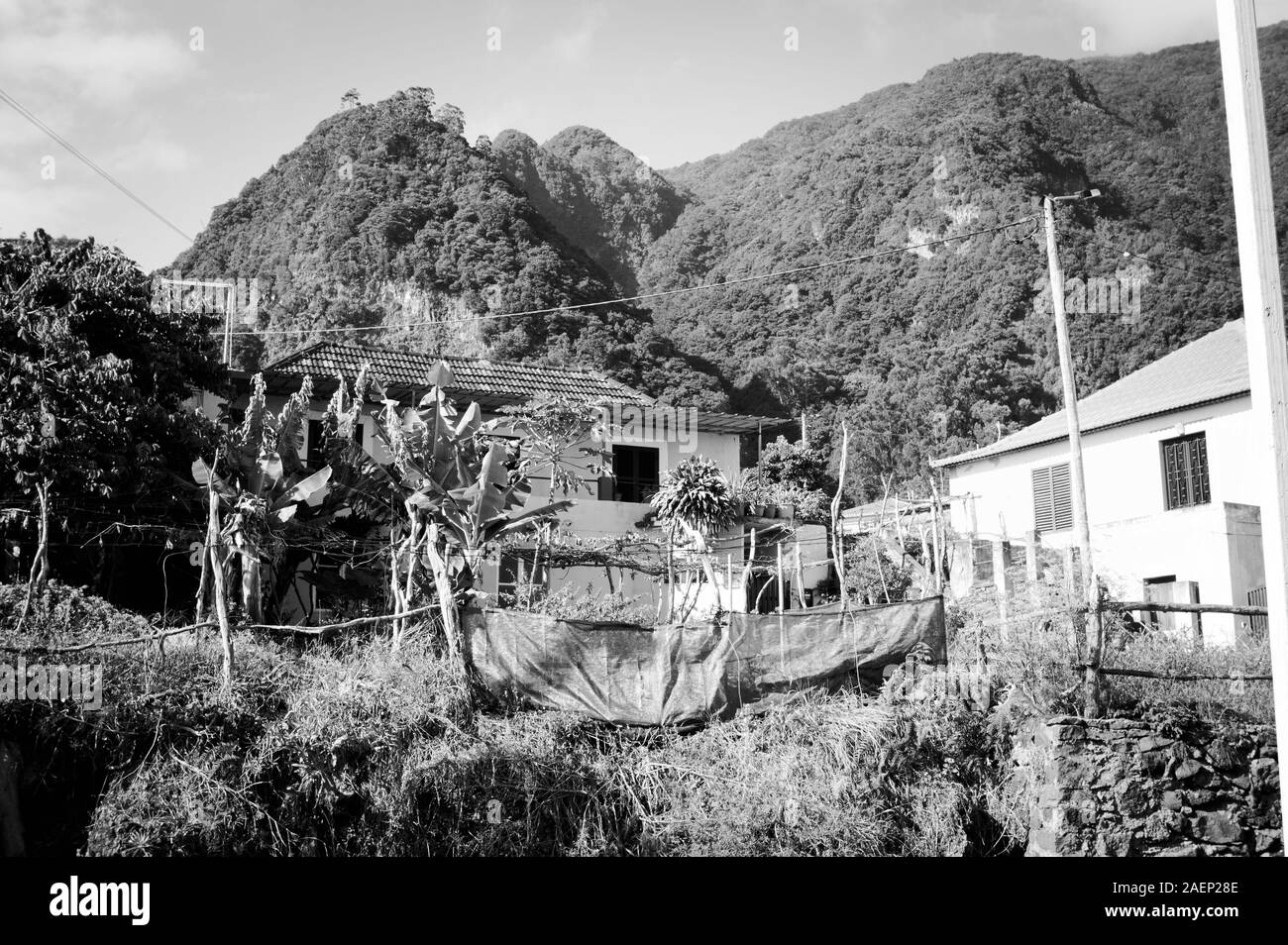 Isolated rural house in a tropical place with palms in the garden ...