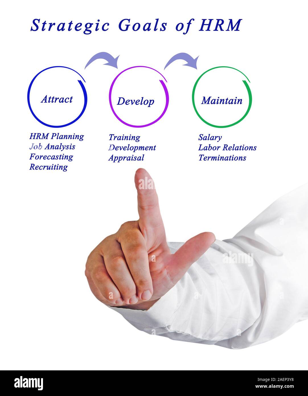 Strategic human resource management Cut Out Stock Images & Pictures - Alamy