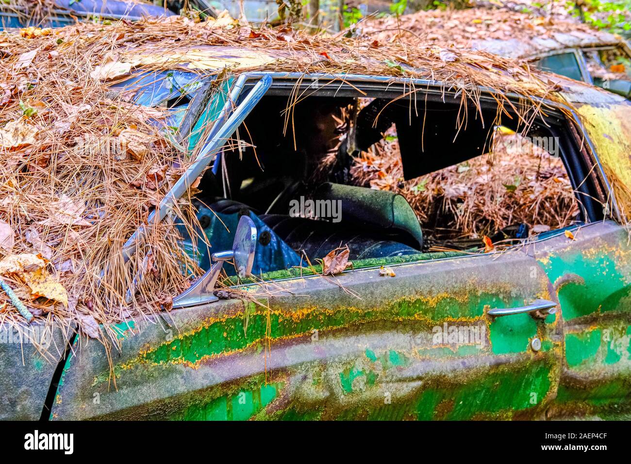 Wrecked Green Car Covered with Straw Stock Photo - Alamy