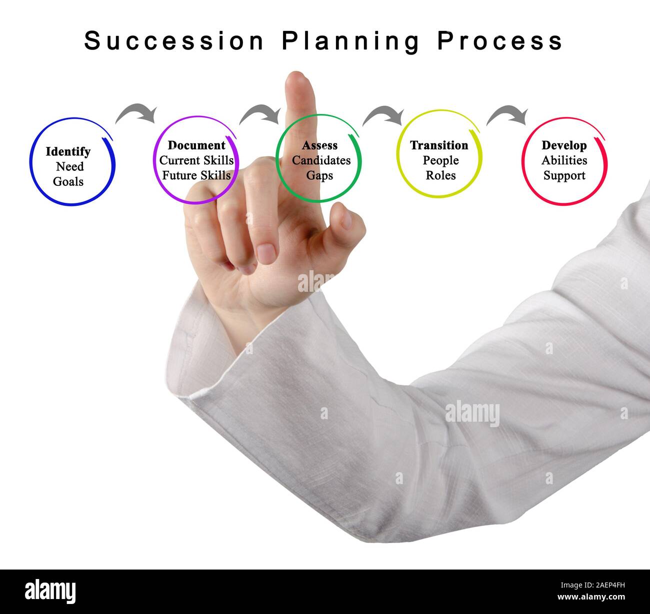 Succession Planning Process Stock Photo - Alamy