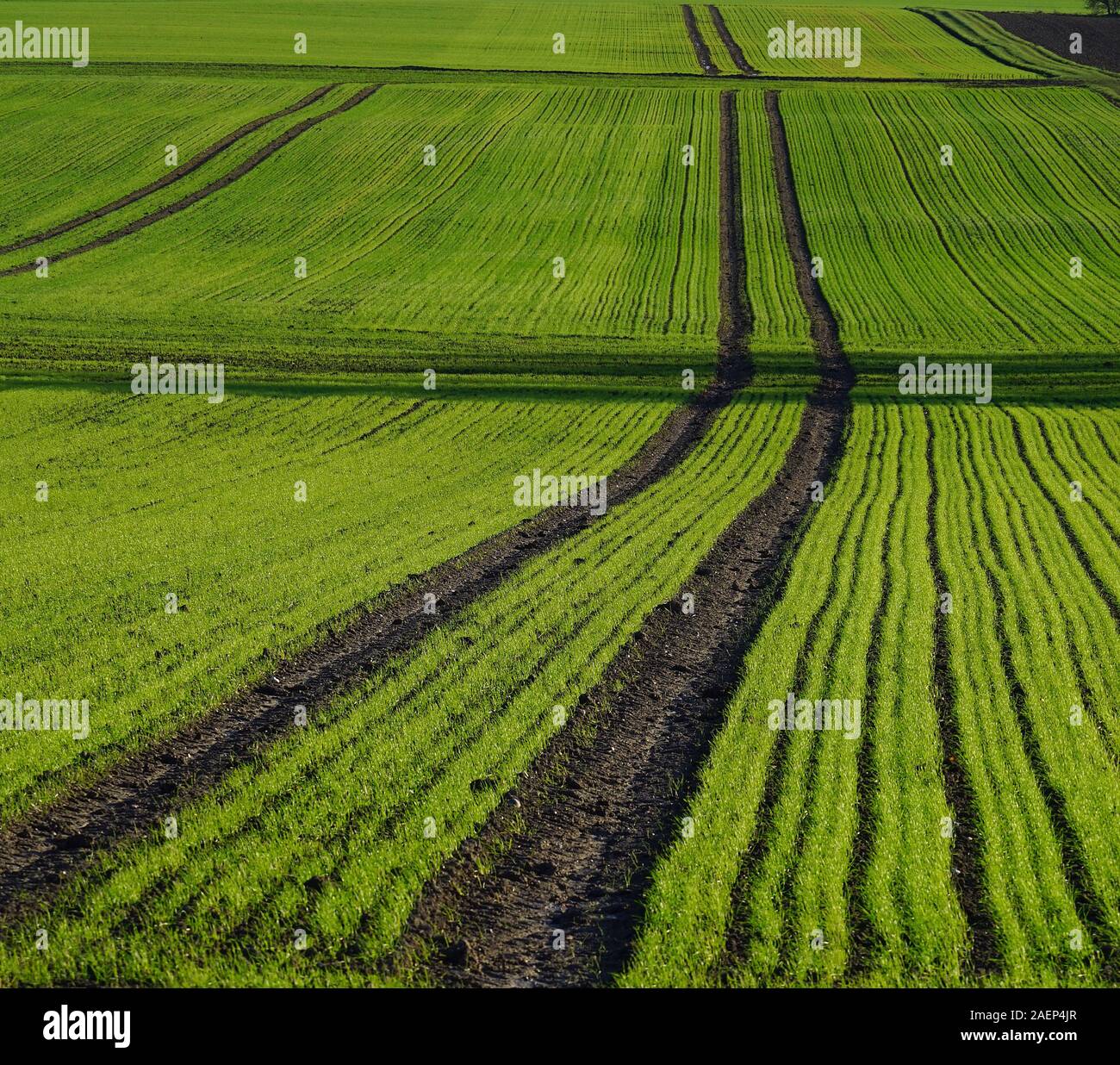 Fowlmere uk hi-res stock photography and images - Alamy