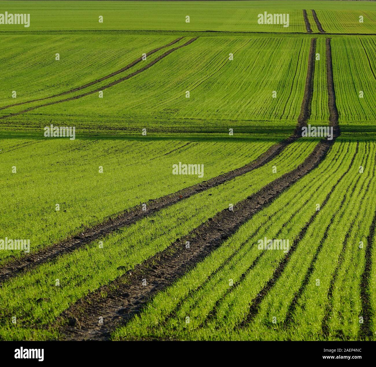 Fowlmere uk hi-res stock photography and images - Alamy