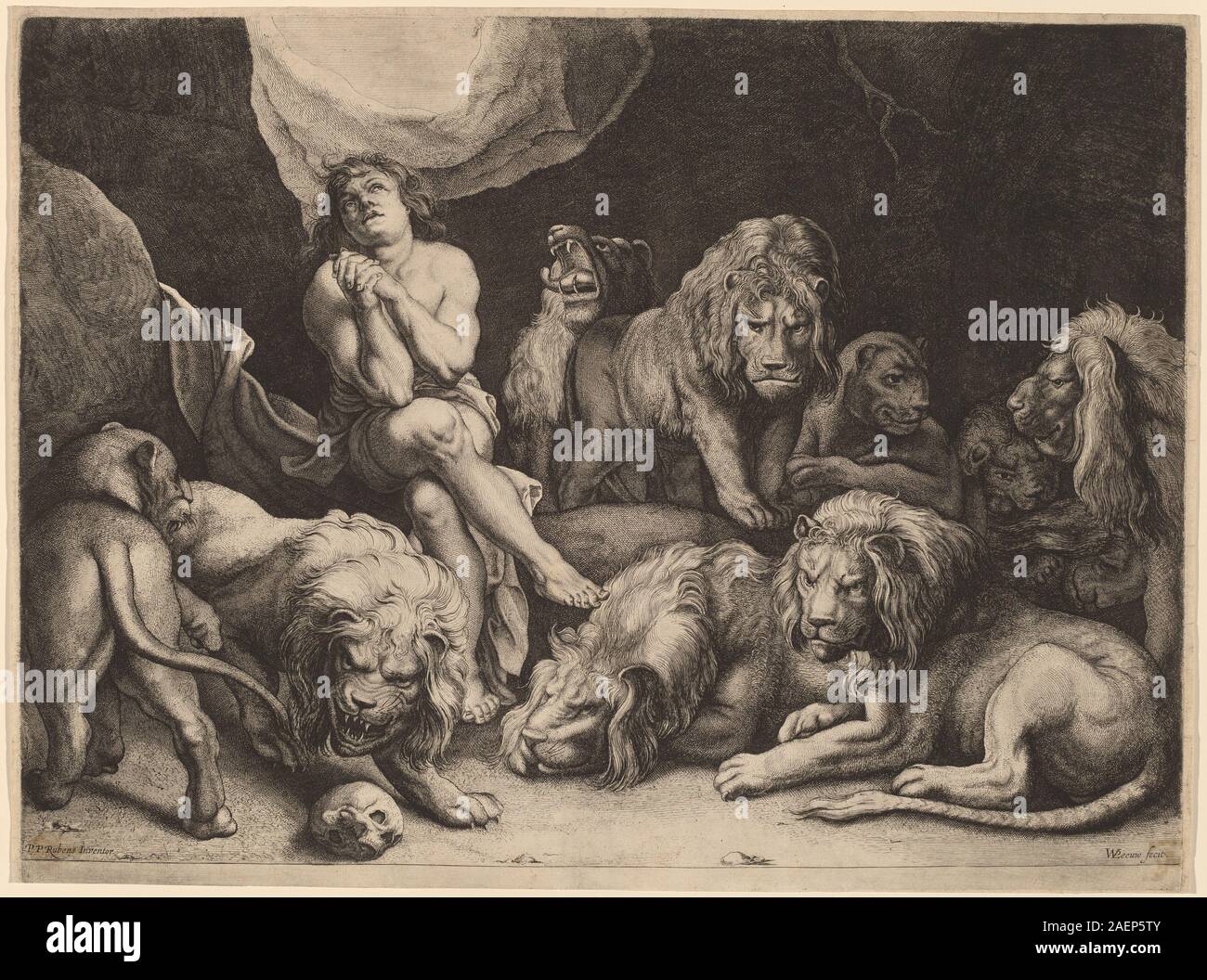 Willem van der leeuw after sir peter paul rubens hi-res stock ...