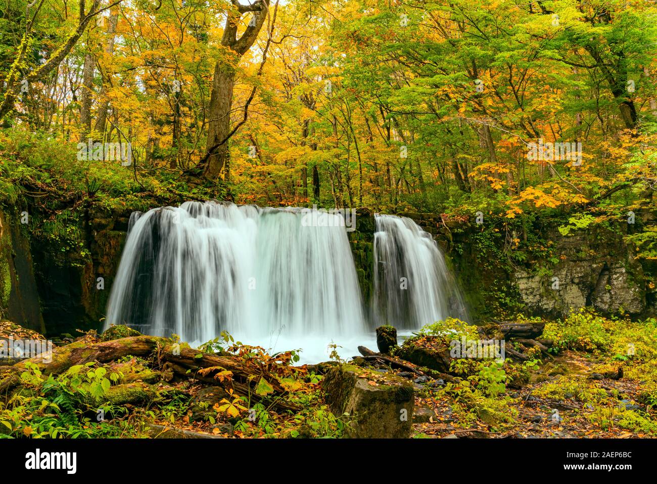 Choshi Otaki Waterfalls in the colorful foliage of autumn forest at ...