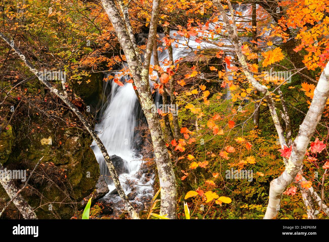 Waterfall in Yukawa River in the colorful foliage of autumn forest at ...