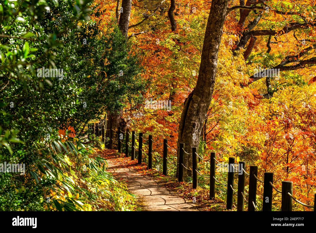 Onuma park hi-res stock photography and images - Alamy